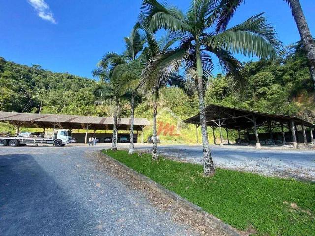 Galpão / Depósito para Venda em Blumenau/SC Velha Central