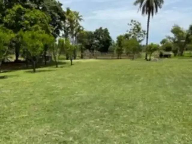 Galpão / Depósito para Venda em Brasília/DF Samambaia Sul Samambaia