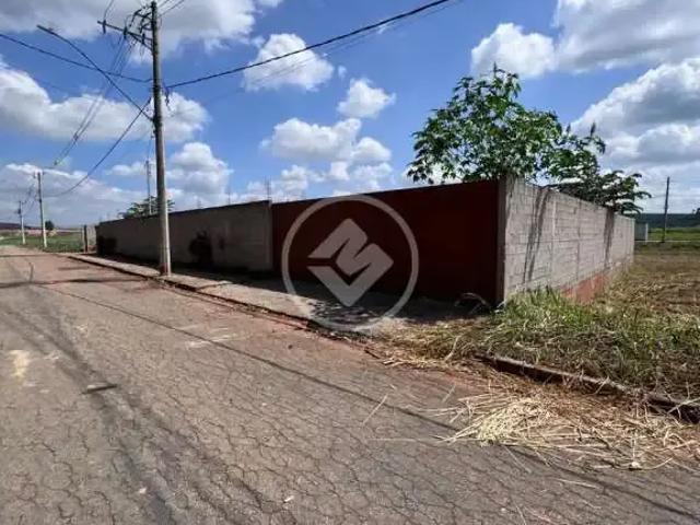Galpão / Depósito para Venda em Caratinga/MG Lagoa Silvana