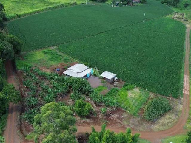 Galpão / Depósito para Venda em Cascavel/PR Zona Rural 2 Quartos