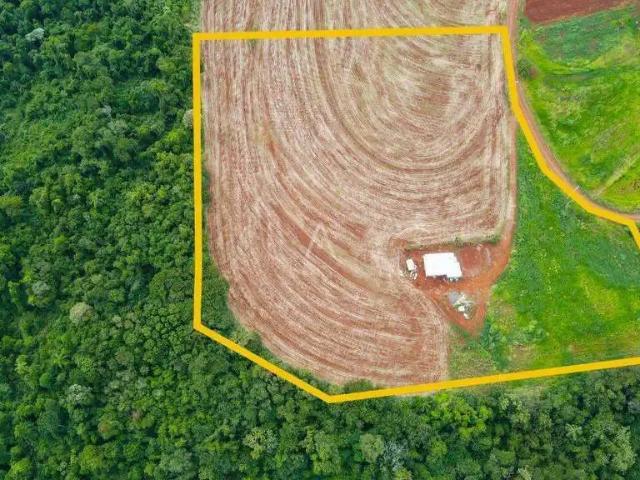 Galpão / Depósito para Venda em Cascavel/PR Zona Rural