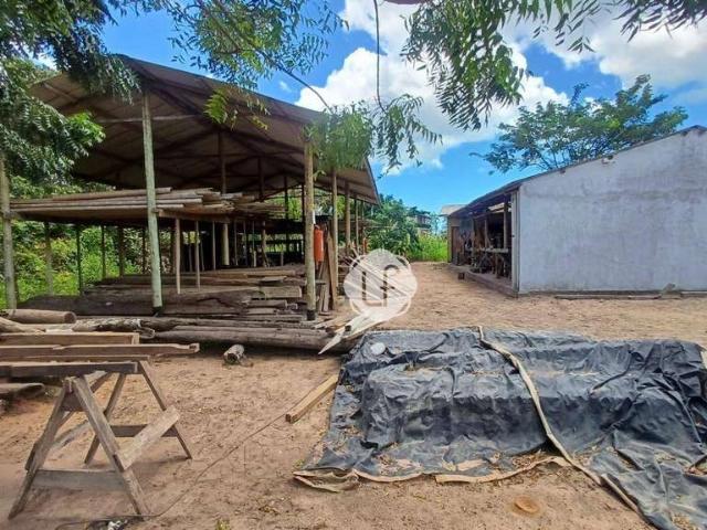 Galpão / Depósito para Venda em Cruz/CE Zona Rural