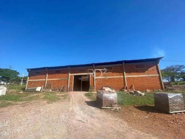 Galpão / Depósito para Venda em Londrina/PR Cilo 3