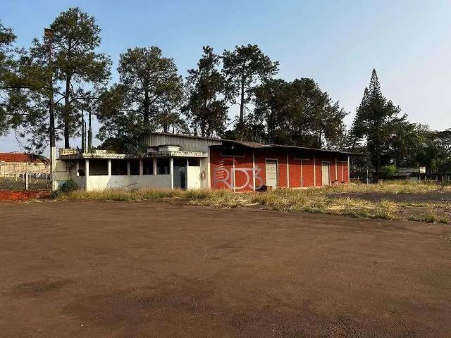 Galpão / Depósito para Venda em Londrina/PR Jardim Rosicler