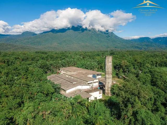 Galpão / Depósito para Venda em Morretes/PR Porto de Cima