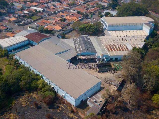 Galpão / Depósito para Venda em Nova Odessa/SP Jardim Fadel