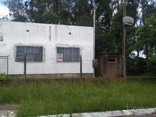 Galpão / Depósito para Venda em Novo Hamburgo/RS Primavera