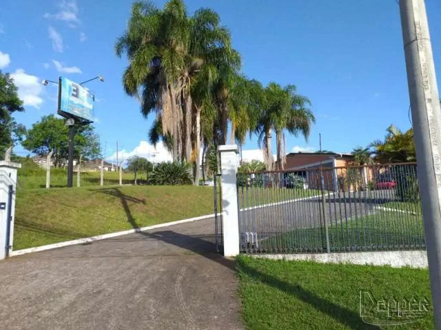 Galpão / Depósito para Venda em Novo Hamburgo/RS Rondônia