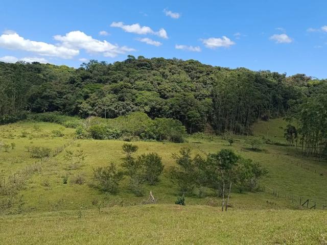 Terreno / Lote para Venda em Blumenau/SC Testo Salto