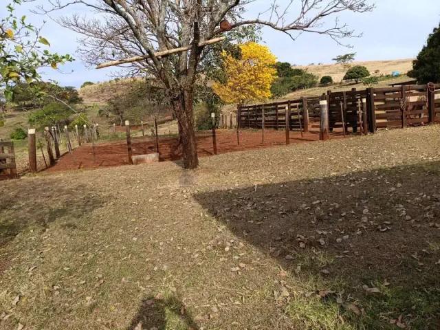 Galpão / Depósito para Venda em Primeiro de Maio/PR Centro 2 Quartos