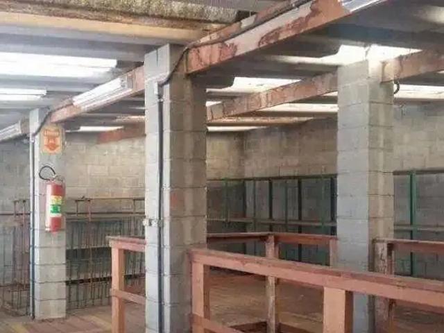 Galpão / Depósito para Venda em São Bernardo do Campo/SP Planalto