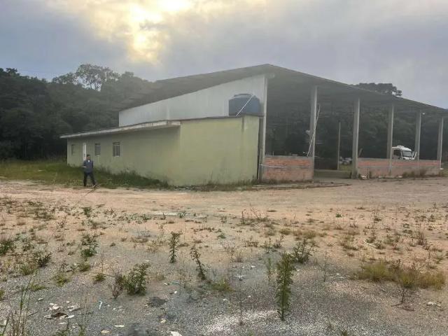 Galpão / Depósito para Venda em São José dos Pinhais/PR Cidade Jardim