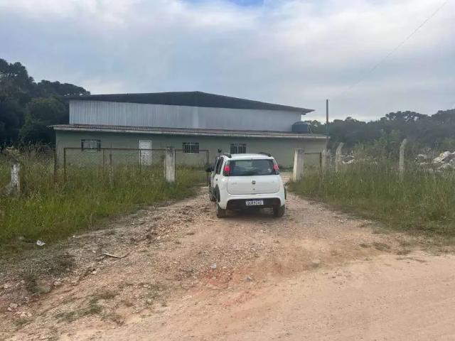 Galpão / Depósito para Venda em São José dos Pinhais/PR Cidade Jardim