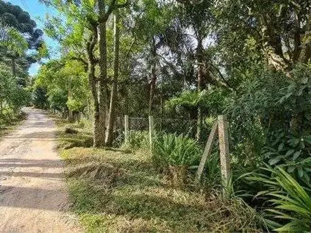 Galpão / Depósito para Venda em São José dos Pinhais/PR Colônia Zacarias