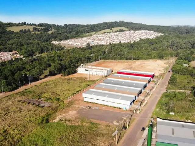Galpão / Depósito para Venda em São Leopoldo/RS Fazenda São Borja