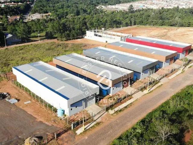 Galpão / Depósito para Venda em São Leopoldo/RS Fazenda São Borja