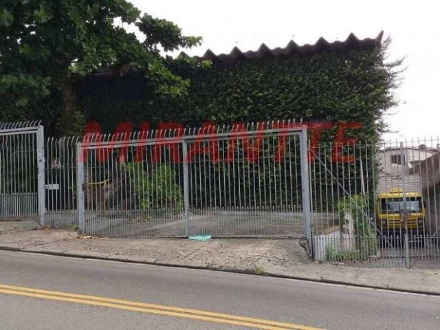 Galpão / Depósito para Venda em São Paulo/SP Vila Dionisia