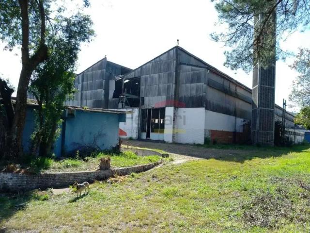 Galpão / Depósito para Venda em São Paulo/SP Cangaíba