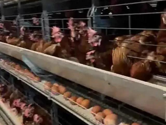 Galpão / Depósito para Venda em São Paulo/SP Centro