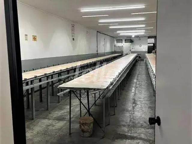 Galpão / Depósito para Venda em São Paulo/SP Guaiaúna