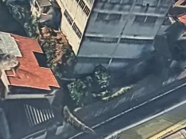 Galpão / Depósito para Venda em São Paulo/SP Mandaqui