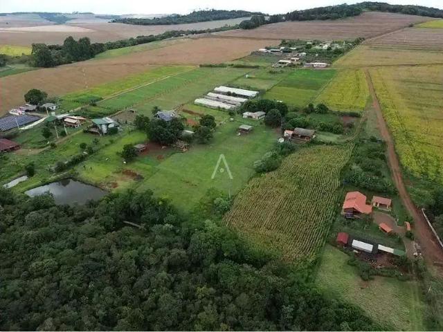 Galpão / Depósito para Venda em Santa Tereza do Oeste/PR Centro
