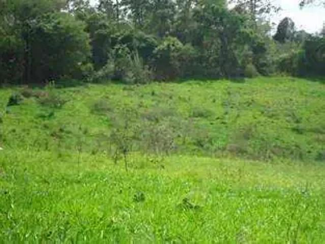 Galpão / Depósito para Venda em Santana de Parnaíba/SP Chácara Estela