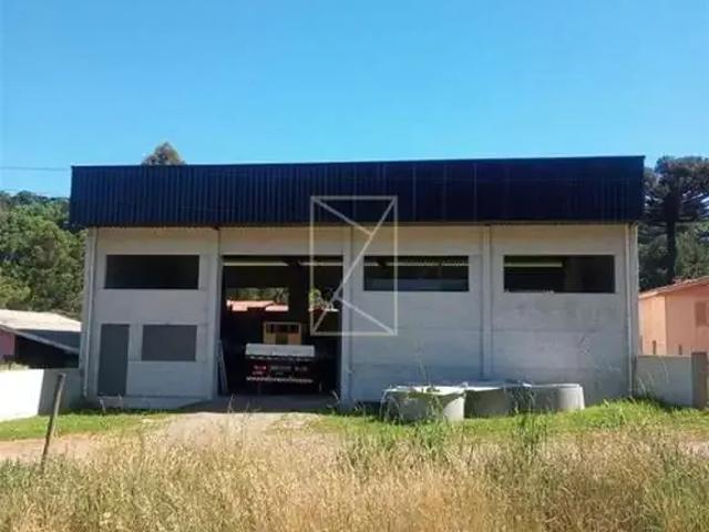 Galpão / Depósito para Locação em Caxias do Sul/RS Maestra