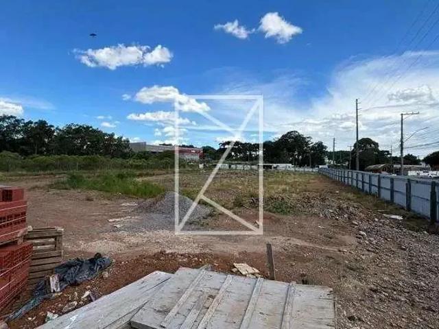 Galpão / Depósito para Locação em Caxias do Sul/RS Desvio Rizzo