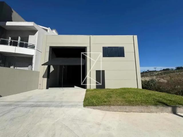 Galpão / Depósito para Locação em Caxias do Sul/RS São Luiz