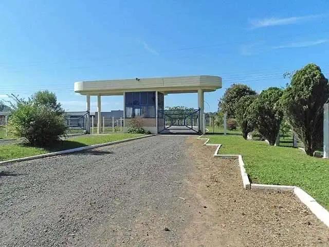 Galpão / Depósito para Locação em Cachoeirinha/RS Jardim Betânia