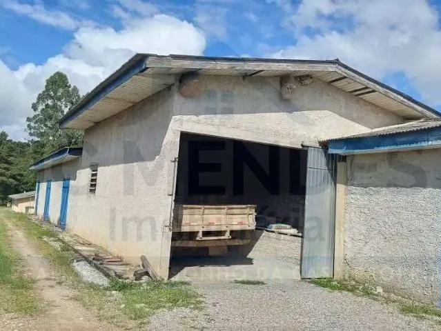 Galpão / Depósito para Locação em Campina Grande do Sul/PR Jardim Araçatuba