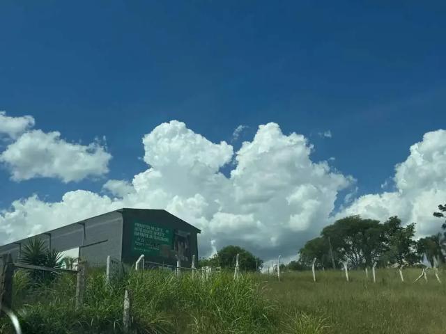 Galpão / Depósito para Locação em Carambeí/PR Centro