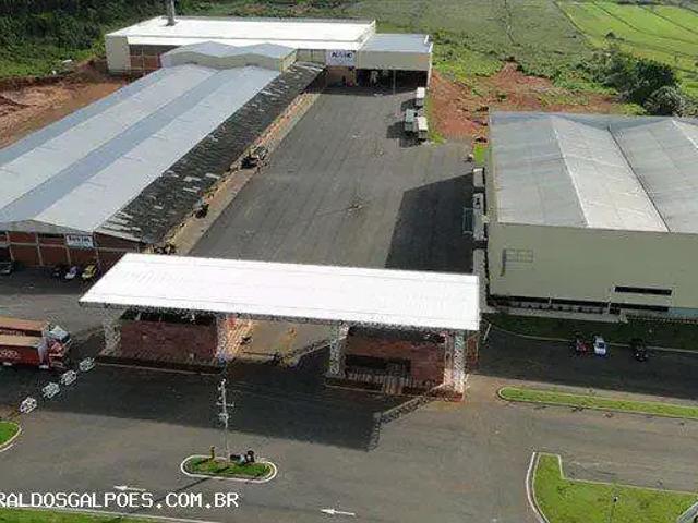 Galpão / Depósito para Locação em Cascavel/PR Parque São Paulo