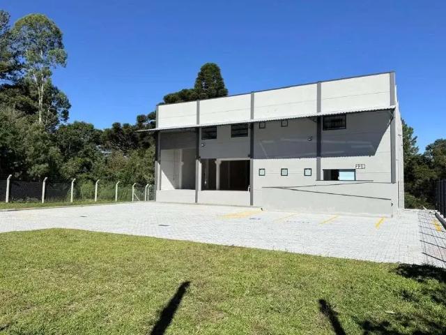 Galpão / Depósito para Locação em Curitiba/PR Cidade Industrial