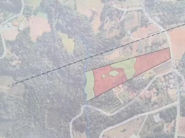 Galpão / Depósito para Locação em Almirante Tamandaré/PR São Miguel