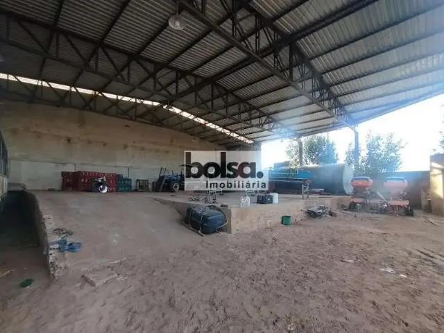 Galpão / Depósito para Locação em Bauru/SP Novo Jardim Pagani