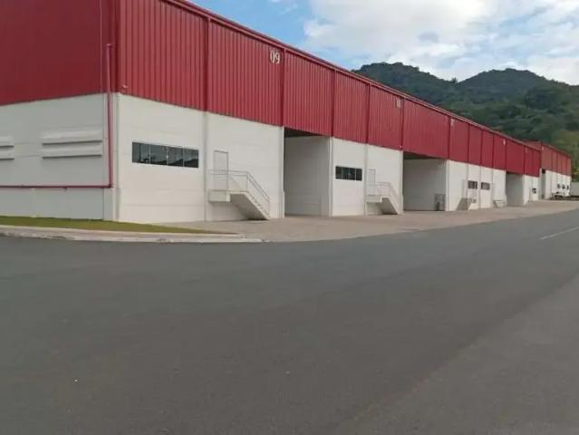 Galpão / Depósito para Locação em Gaspar/SC Belchior Baixo