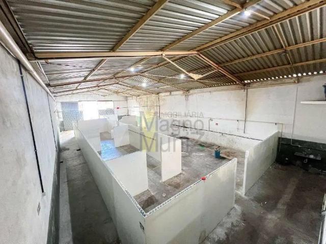 Galpão / Depósito para Locação em Fortaleza/CE Pici