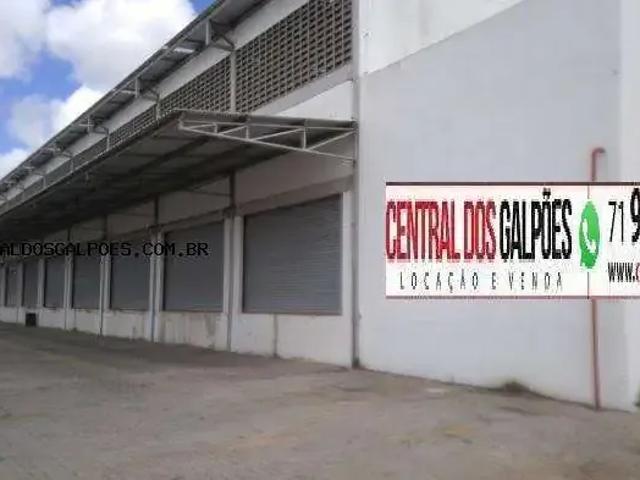 Galpão / Depósito para Locação em Feira de Santana/BA Maria Quitéria