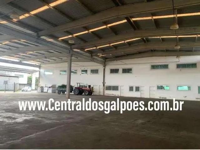 Galpão / Depósito para Locação em Feira de Santana/BA Aviário