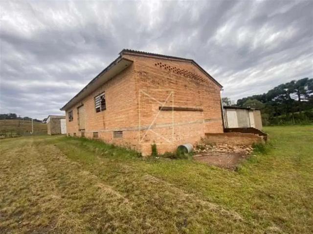 Galpão / Depósito para Locação em Flores da Cunha/RS Centro