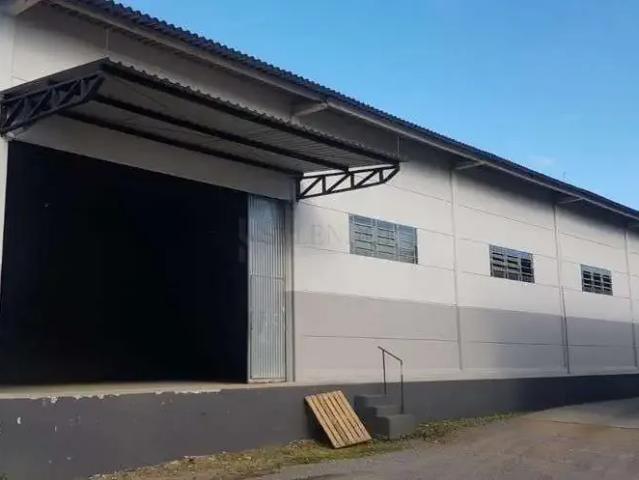 Galpão / Depósito para Locação em Indaial/SC Benedito
