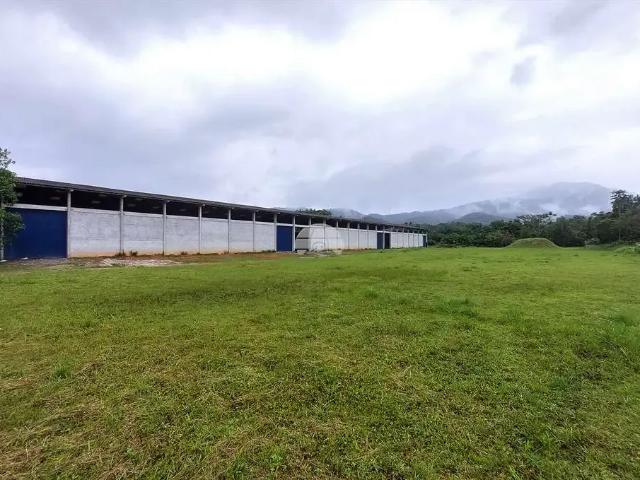 Galpão / Depósito para Locação em Joinville/SC Rio Bonito Pirabeiraba