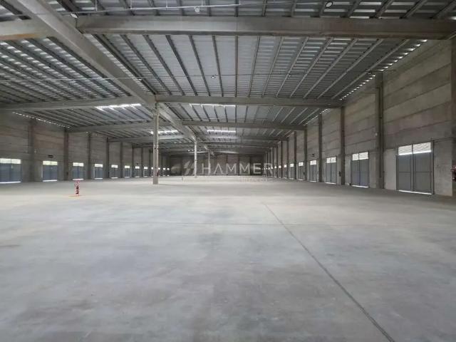 Galpão / Depósito para Locação em Joinville/SC Zona Industrial