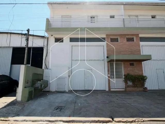 Galpão / Depósito para Locação em Marília/SP Alto Cafezal
