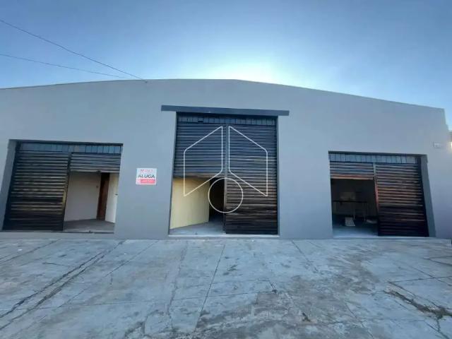 Galpão / Depósito para Locação em Marília/SP Jardim Eldorado