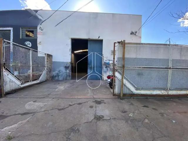 Galpão / Depósito para Locação em Marília/SP Jardim Santa Antonieta