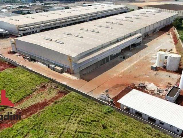 Galpão / Depósito para Locação em Nova Odessa/SP Parque Industrial Recanto