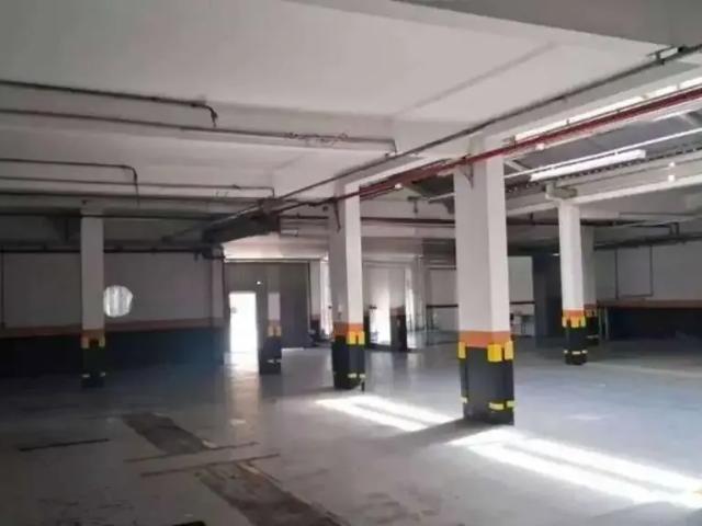 Galpão / Depósito para Locação em São Bernardo do Campo/SP Assunção
